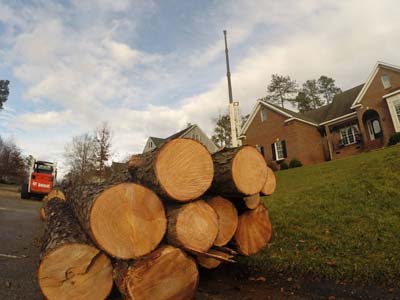 logs-removal - Arbormax Tree Service Charlotte