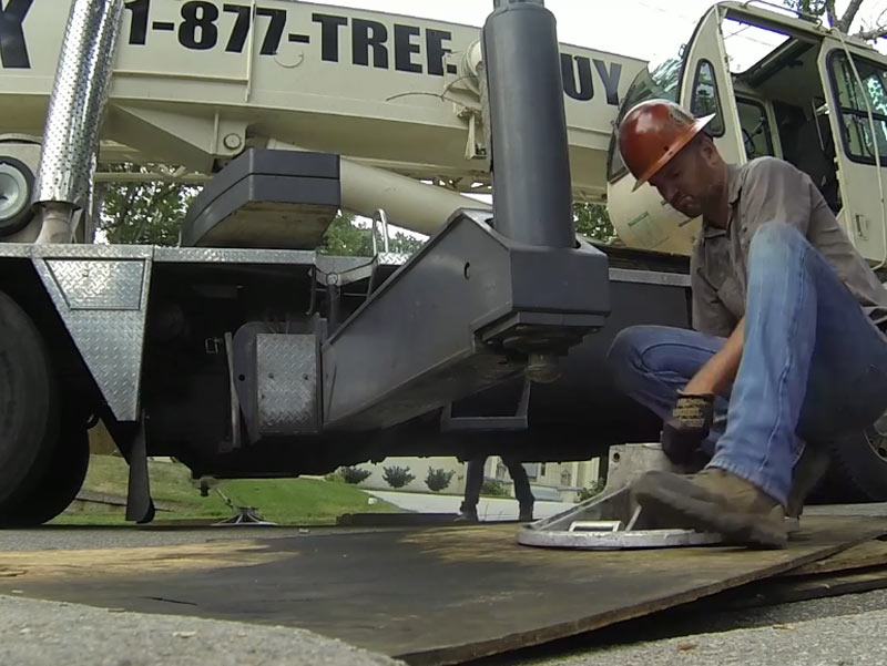 Crane Assisted Tree Removal - Arbormax Tree Service Charlotte