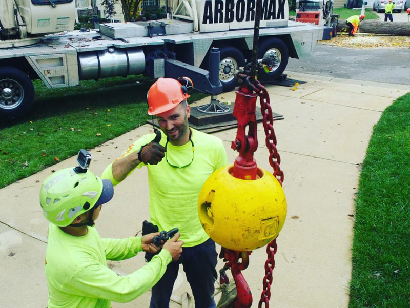Crane Assisted Tree Removal - Arbormax Tree Service Charlotte